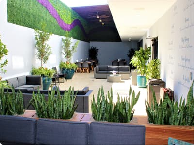 Stem Cell Therapy for Spinal Cord Injury | Journey from US to Mexico