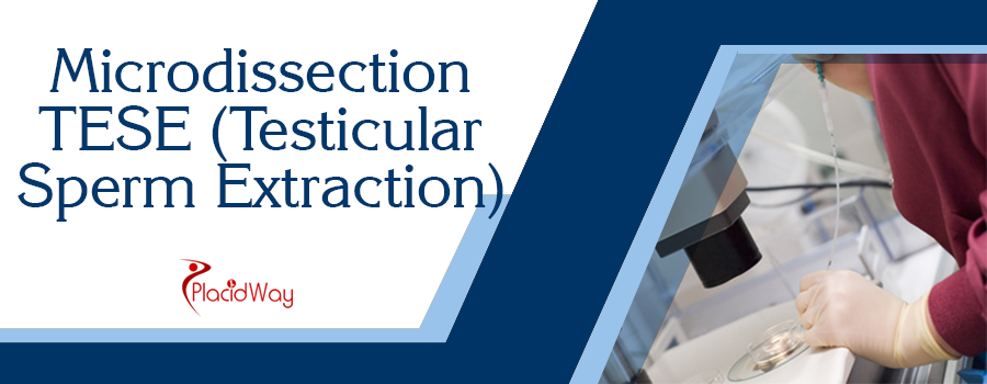 Microdissection TESE (Testicular Sperm Extraction) Abroad